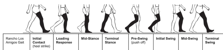 6 Gait Training Exercises to Improve Mobility + Balance - CIONIC Blog